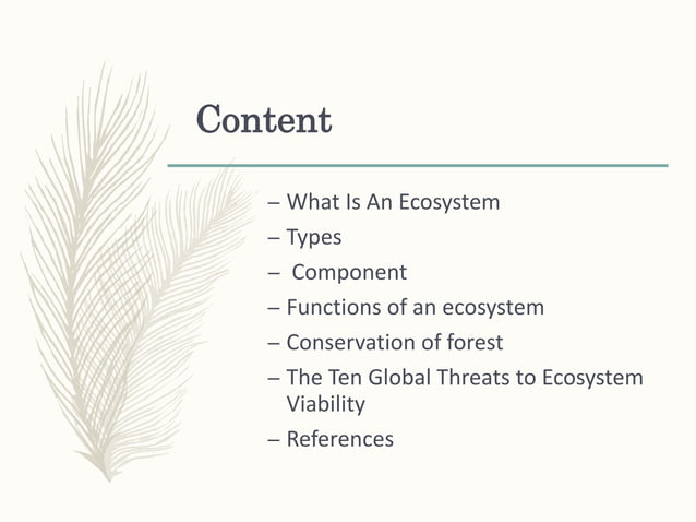 ECOSYSTEM-PPT.pptx