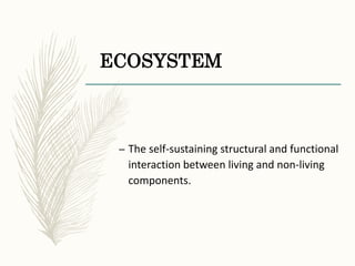ECOSYSTEM-PPT.pptx