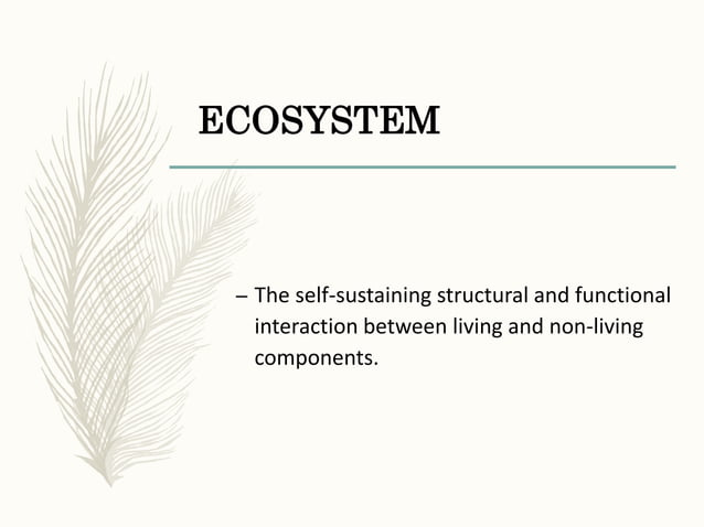 ECOSYSTEM-PPT.pptx