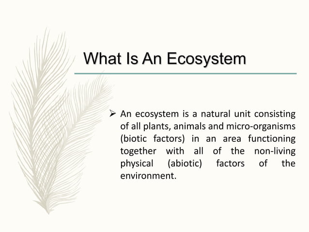 ECOSYSTEM-PPT.pptx