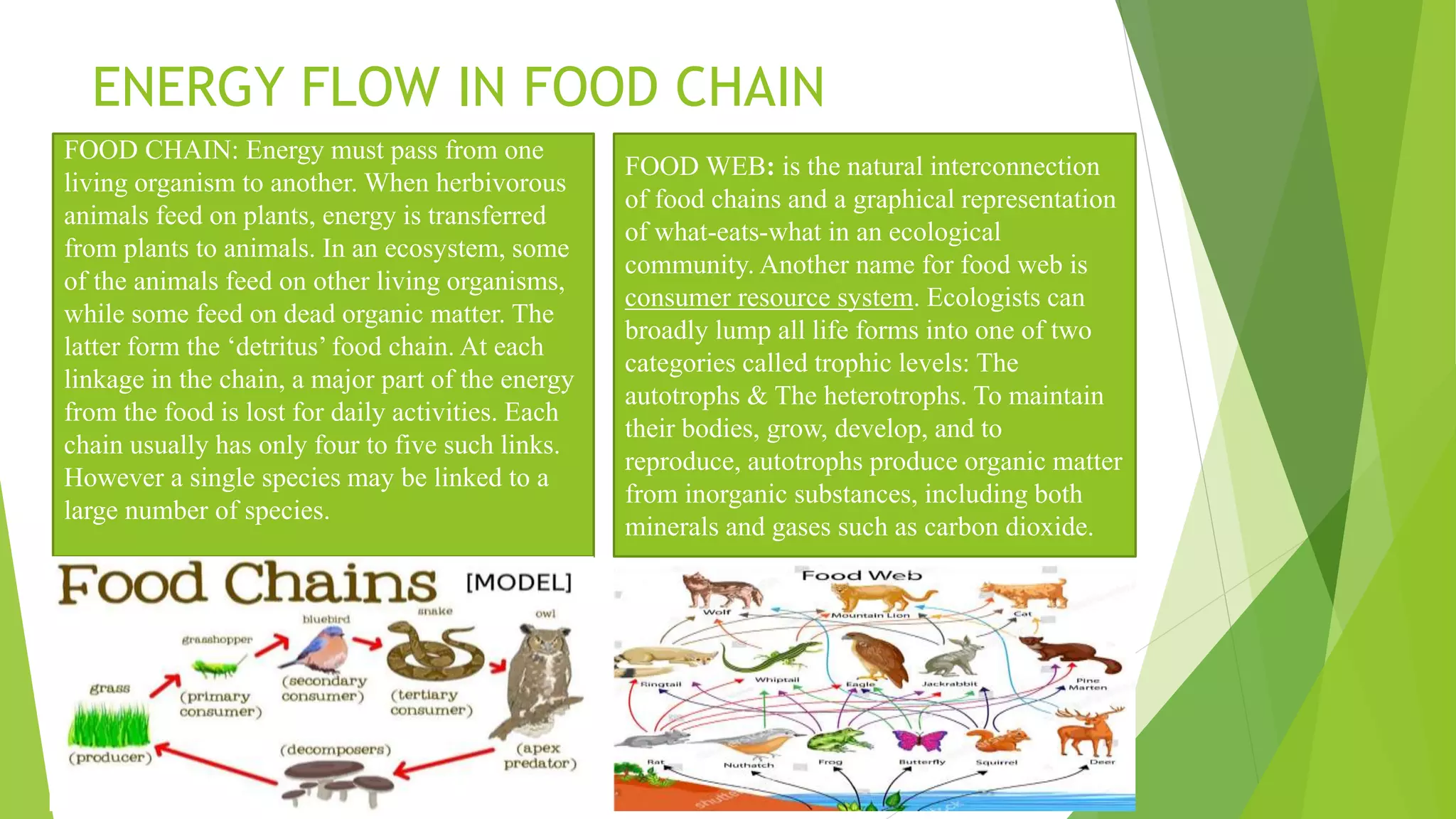 Ecosystem presentation- | PPTX