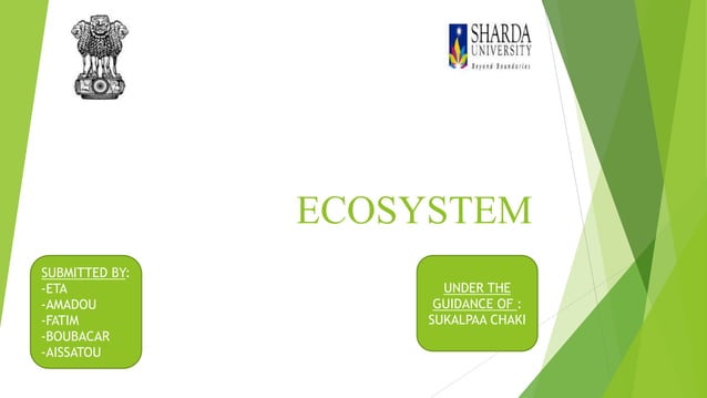 Ecosystem presentation- | PPT