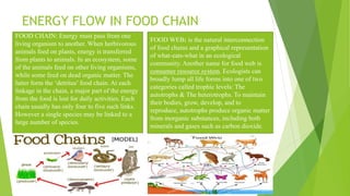 Ecosystem presentation- | PPT