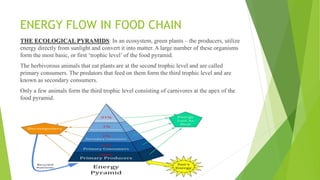 Ecosystem presentation- | PPT