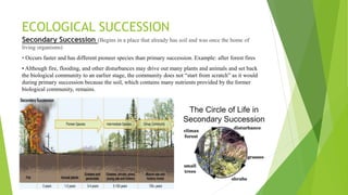 Ecosystem presentation- | PPT | Free Download