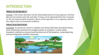 Ecosystem presentation- | PPT