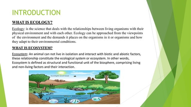 Ecosystem presentation- | PPT