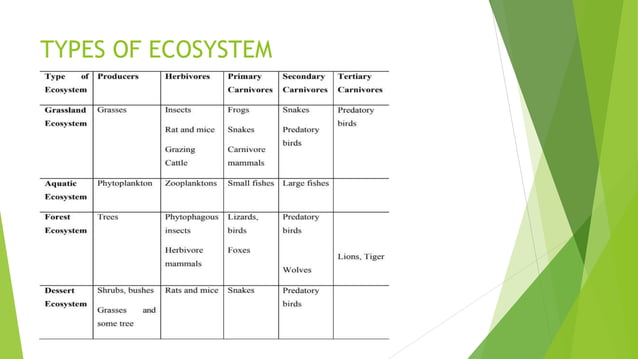 Ecosystem presentation- | PPT | Free Download