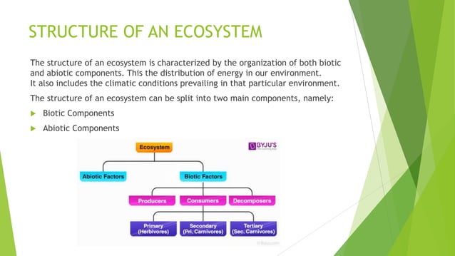 Ecosystem presentation- | PPT