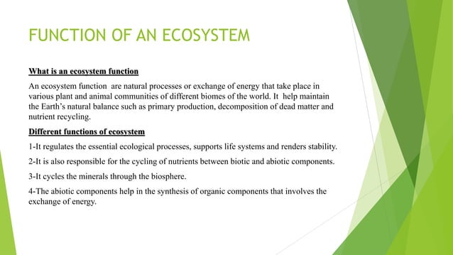 Ecosystem presentation- | PPT | Free Download
