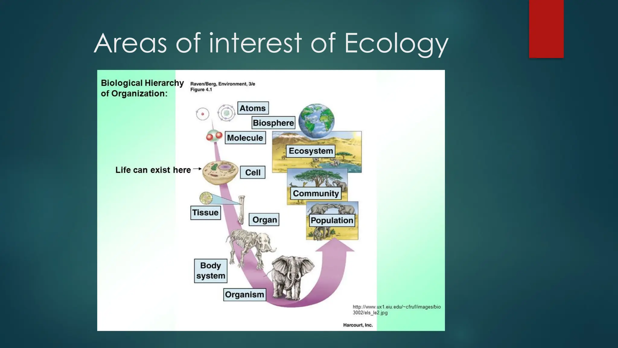 Ecosystem, energy transfer and environmental cycles and process | PPTX