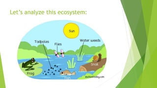 Ecosystem | PDF