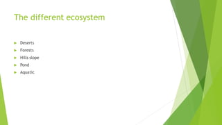 Ecosystem | PDF
