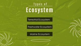 ECOSYSTEM-TYPES-AND-COMPONENTS.pdf