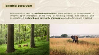 ECOSYSTEM-TYPES-AND-COMPONENTS.pdf