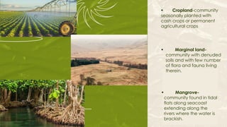 ECOSYSTEM-TYPES-AND-COMPONENTS.pdf