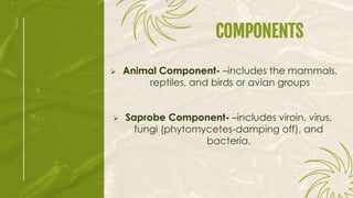 ECOSYSTEM-TYPES-AND-COMPONENTS.pdf