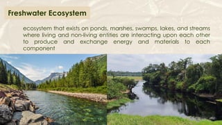 ECOSYSTEM-TYPES-AND-COMPONENTS.pdf