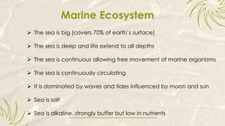 ECOSYSTEM-TYPES-AND-COMPONENTS.pdf