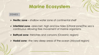 ECOSYSTEM-TYPES-AND-COMPONENTS.pdf