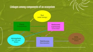 ECOSYSTEM-TYPES-AND-COMPONENTS.pdf
