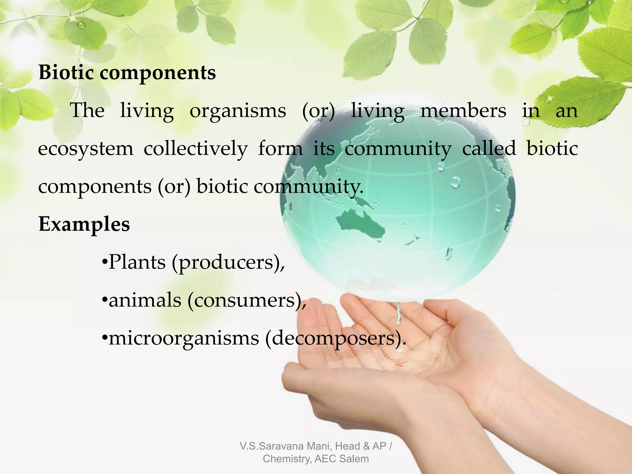 Ecosystem | PPSX | Geography | Science