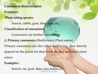 Ecosystem | PPSX