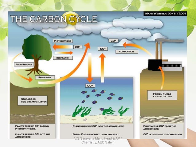 Ecosystem | PPSX | Geography | Science