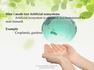 Ecosystem | PPSX