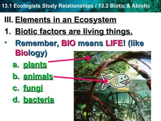 Ecosystem1 | PPT | Geography | Science