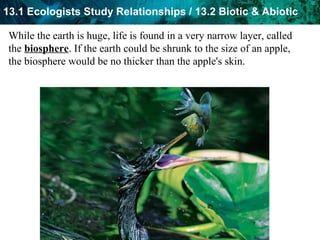 Ecosystem1 | PPT | Geography | Science