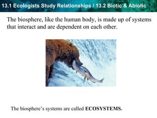 Ecosystem1 | PPT | Geography | Science