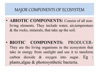 Ecosystem | PPTX