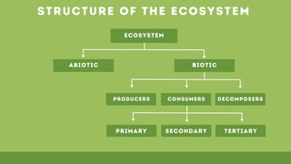 Ecosystem and it's types and importance of it | PPT