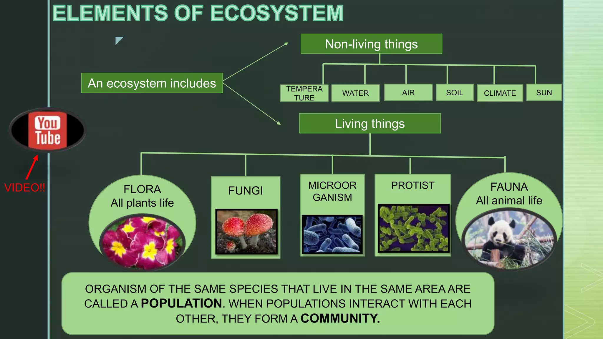 Ecosystem | PPT