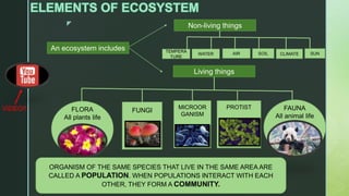 Ecosystem | PPT