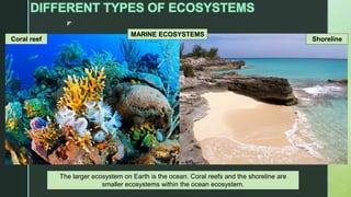 Ecosystem | PPTX