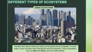 Ecosystem | PPTX