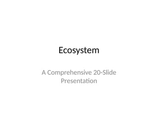 Ecosystem_20_presentation 20_Slides.pptx