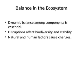 Ecosystem_20_presentation 20_Slides.pptx