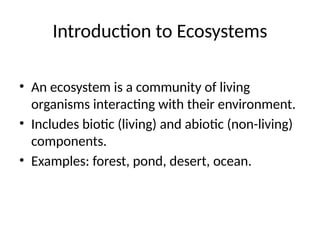 Ecosystem_20_presentation 20_Slides.pptx