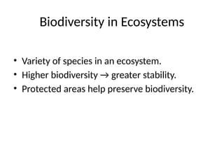 Ecosystem_20_presentation 20_Slides.pptx