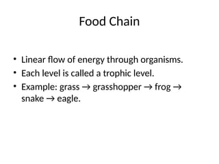 Ecosystem_20_presentation 20_Slides.pptx