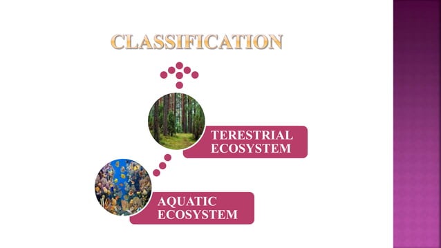 ECOSYSTEM.pptx