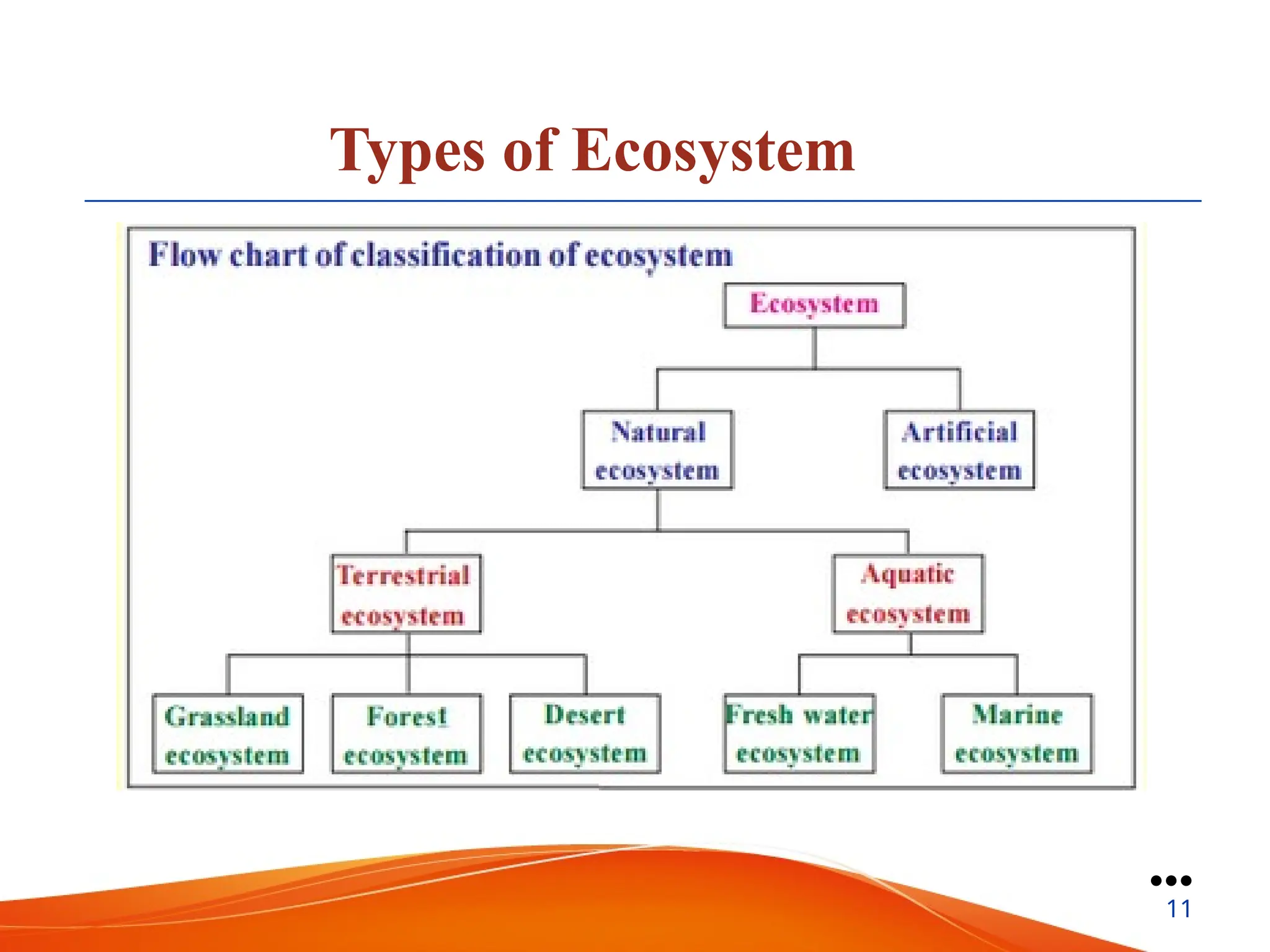 Ecosystems definition, characteristics in the world | PPTX | Geography ...