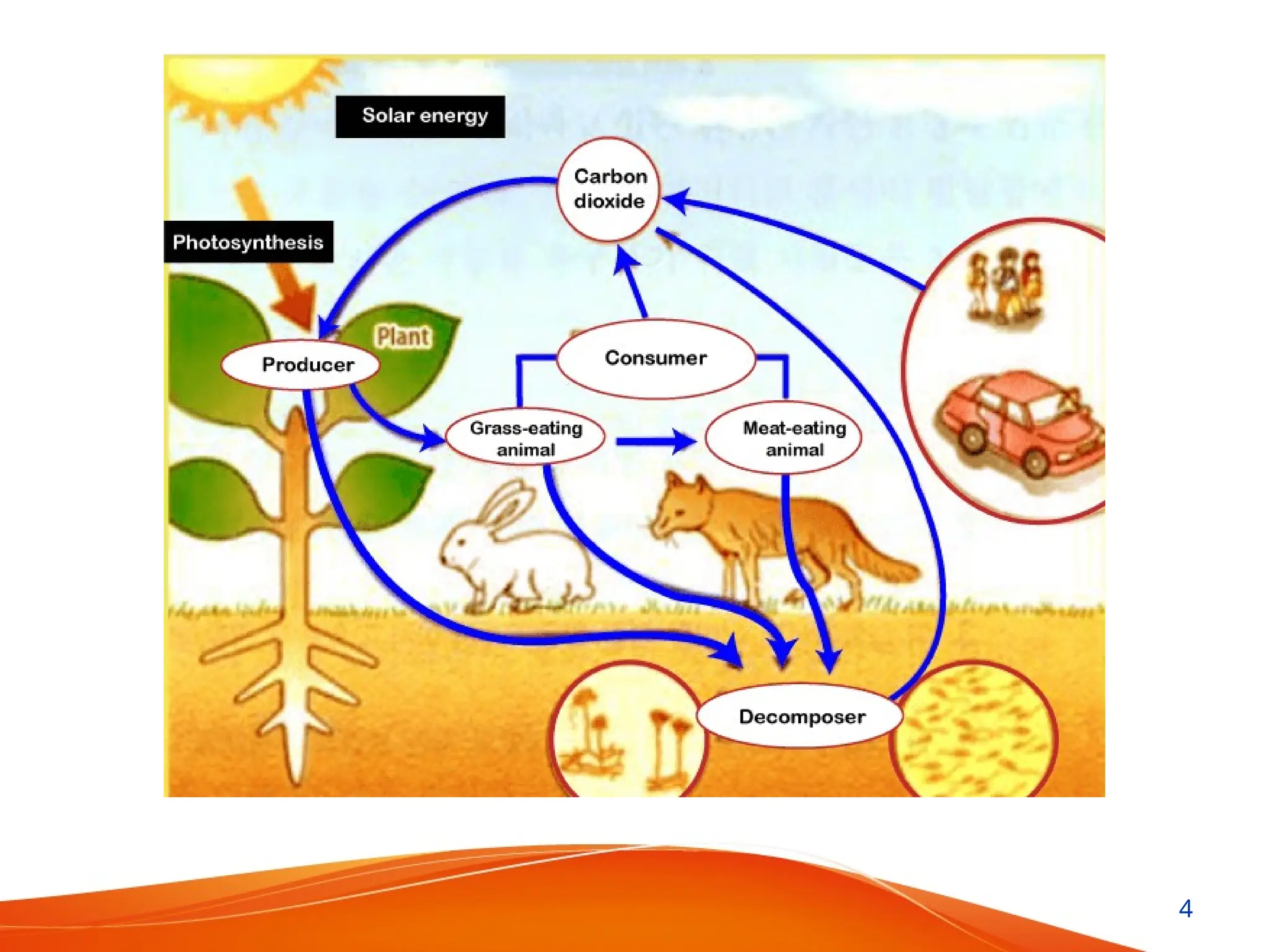 Ecosystems definition, characteristics in the world | PPTX | Geography ...