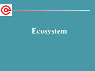 Ecosystems definition, characteristics in the world | PPTX | Geography ...