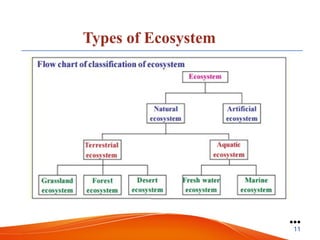 Ecosystems definition, characteristics in the world | PPTX | Geography ...
