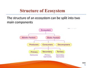 Ecosystems definition, characteristics in the world | PPTX | Geography ...
