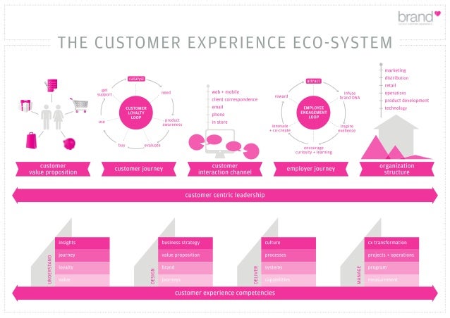 Customer Experience Eco-System by BrandLove